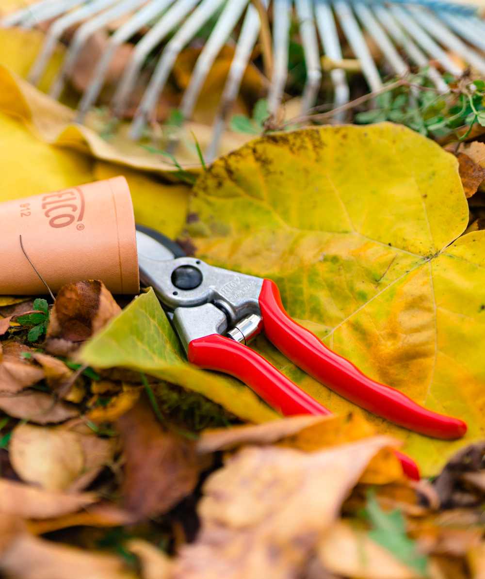 Felco 2, Gartenschere Felco 2, Gartenschere große Hände » direkt online ...