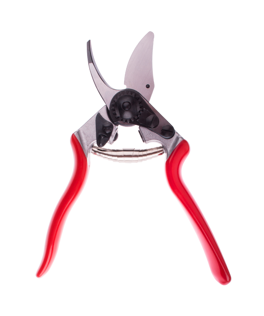 Felco 6, Gartenschere Felco 6, Gartenschere mittelgroße Hände » direkt ...